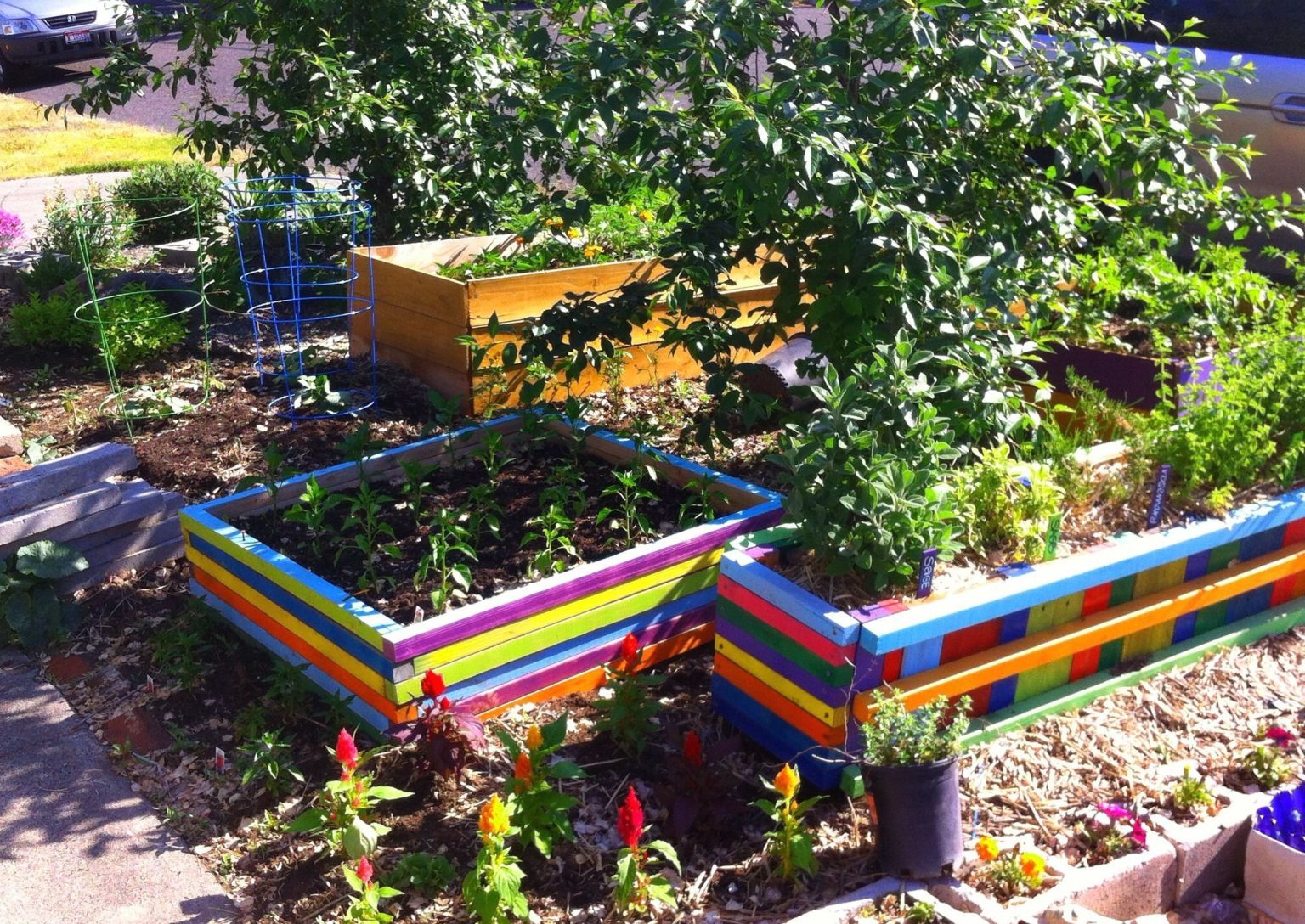 Should You Paint Your Raised Garden Bed? The Pros and Cons